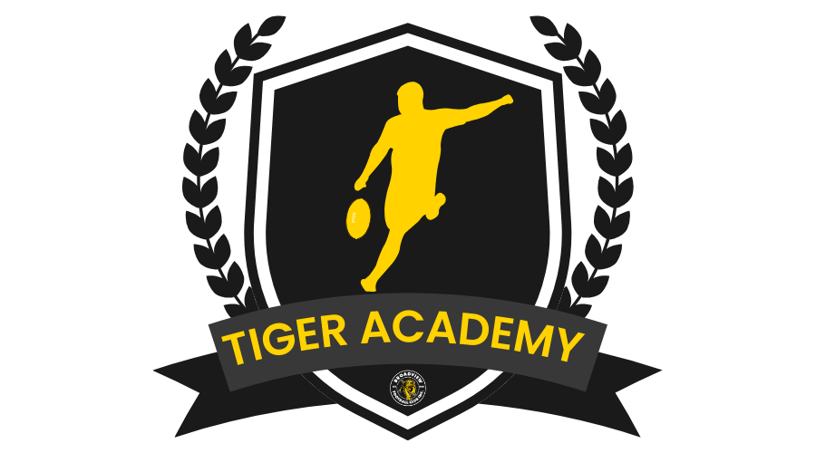 U12/U13 Boys Tiger Academy | Broadview Football Club Inc